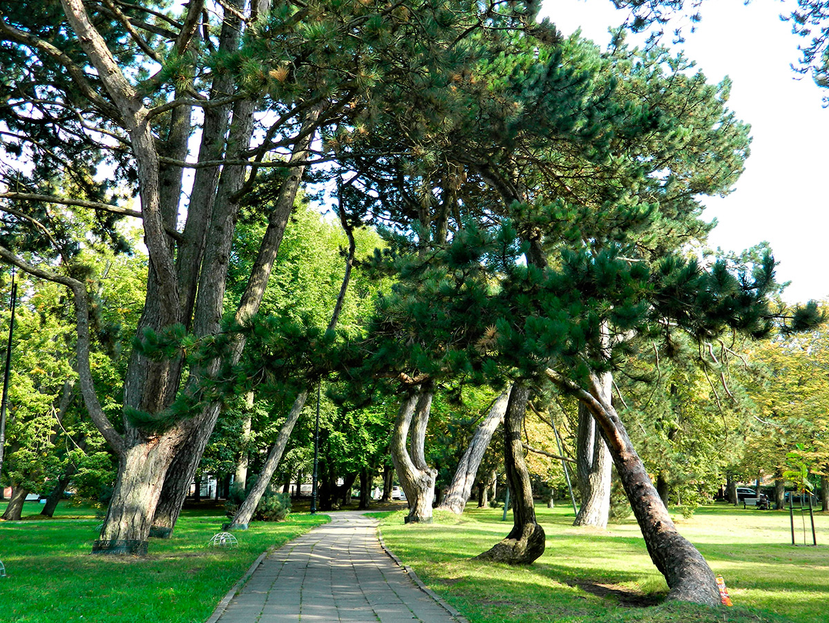 Liepājas Jūrmalas parks - Mapeirons