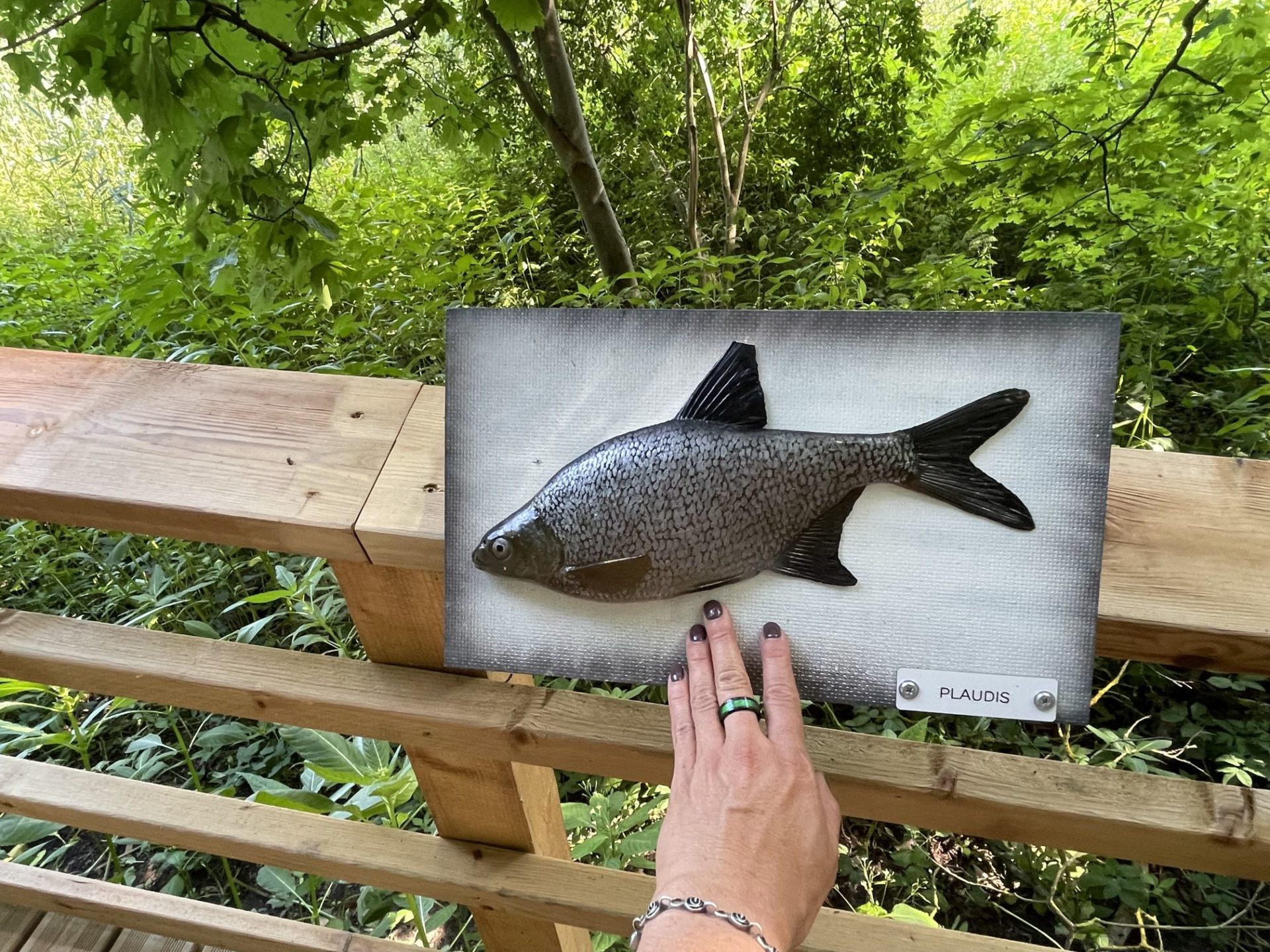 Juglas ezera pastaigu taka - Mapeirons